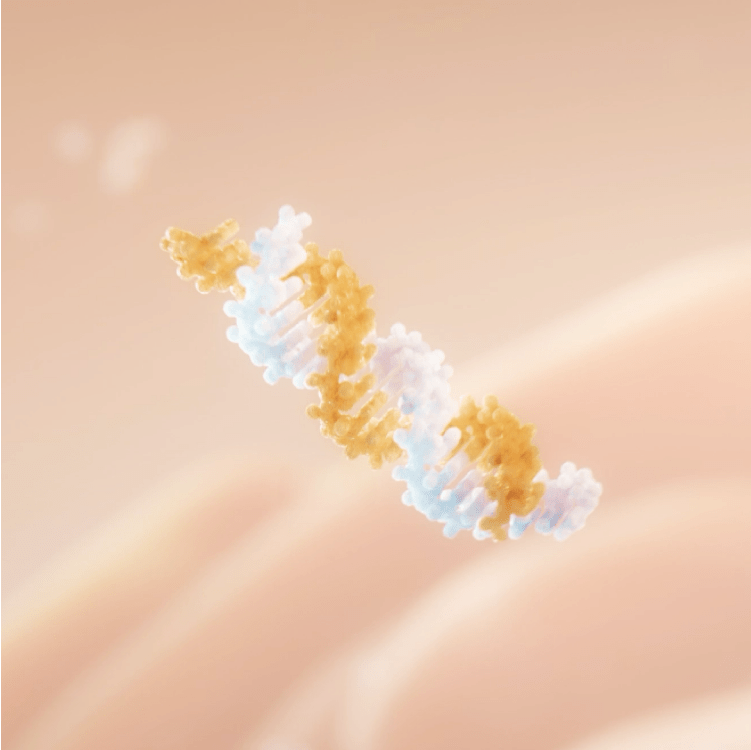 Patients & Caregivers | Arrowhead Pharmaceuticals